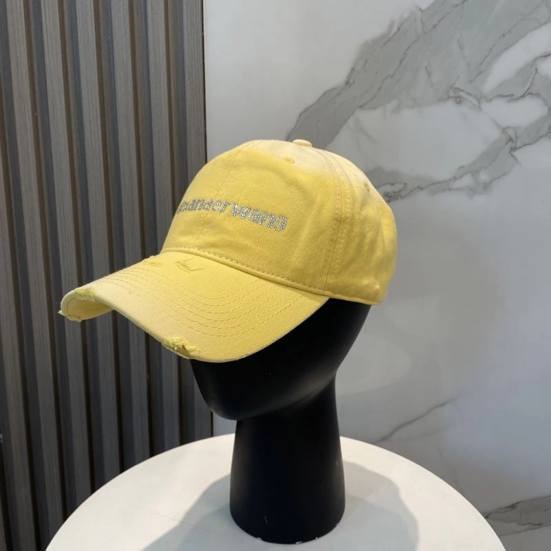 Alexander Wang Caps