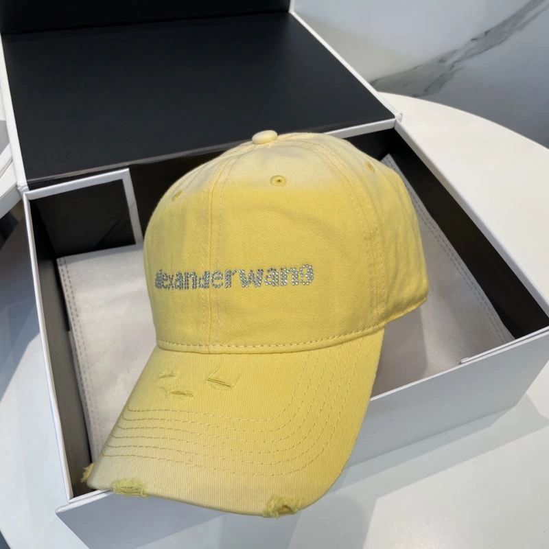 Economical Alexander Wang Caps