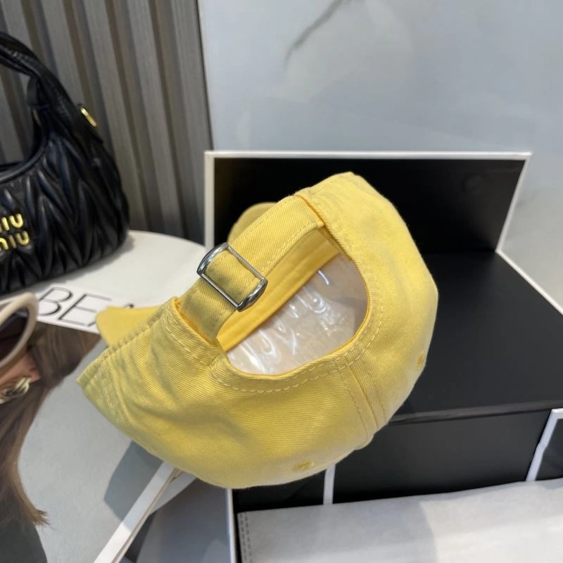 Economical Alexander Wang Caps