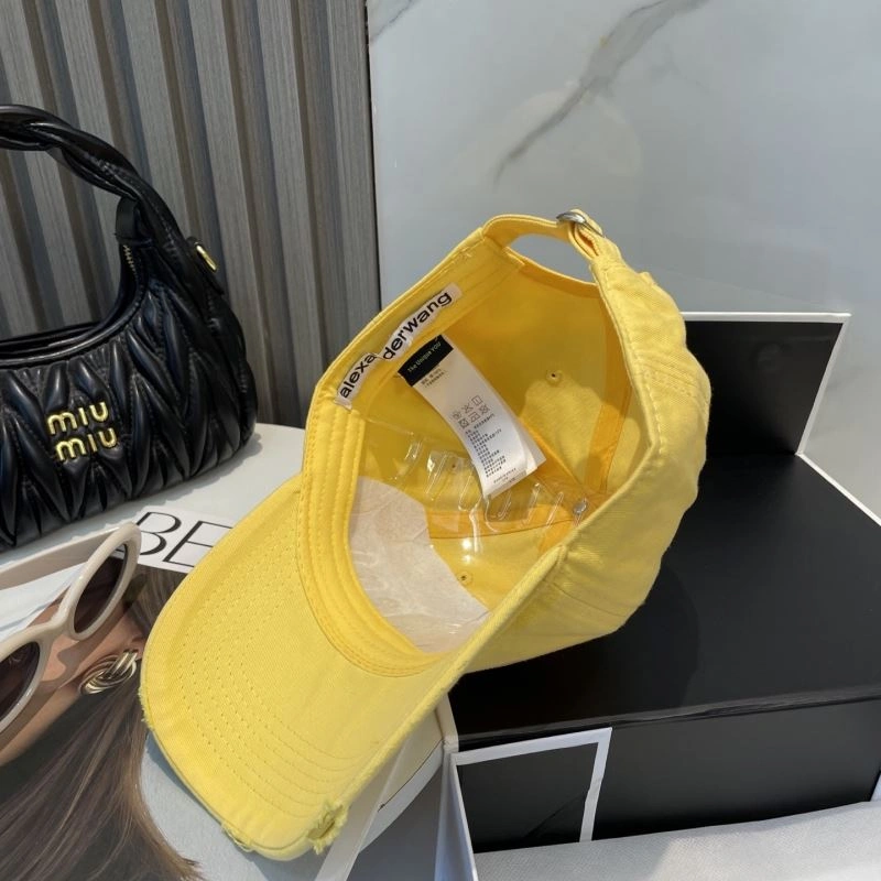 Economical Alexander Wang Caps