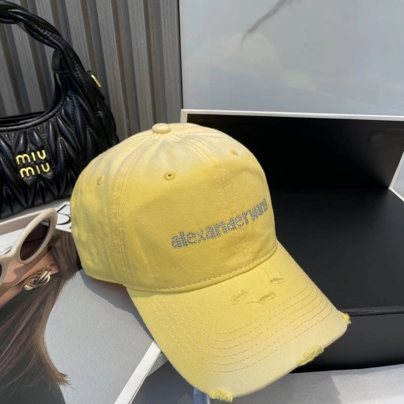 Economical Alexander Wang Caps