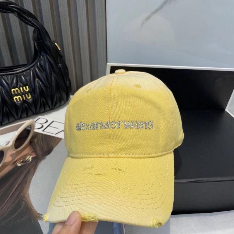 Economical Alexander Wang Caps