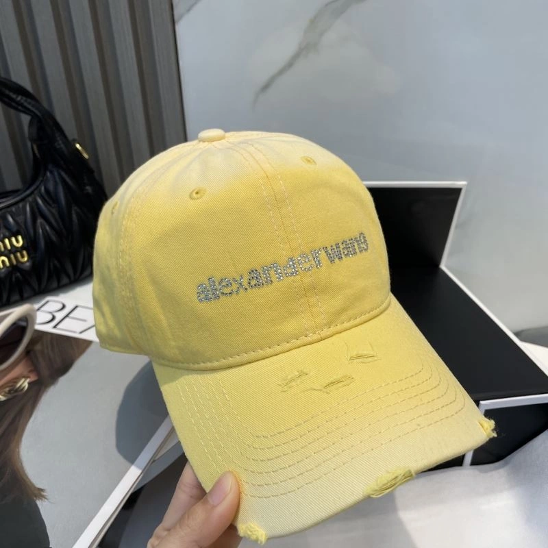 Economical Alexander Wang Caps