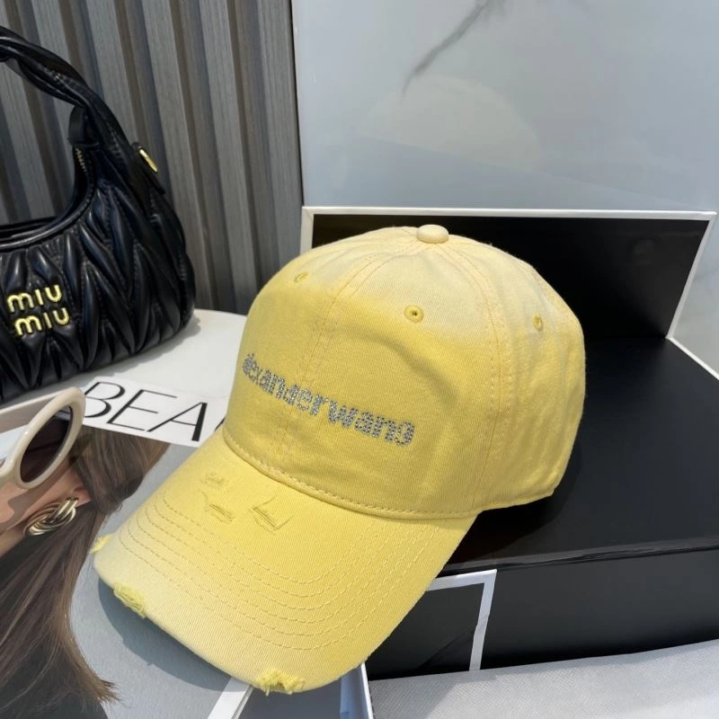 Economical Alexander Wang Caps