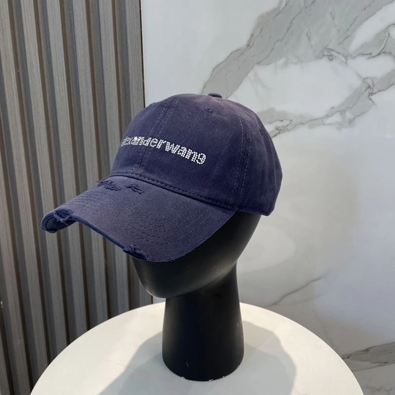 Alexander Wang Caps