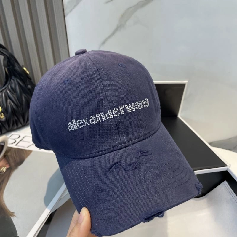 1:1 copy Alexander Wang Caps