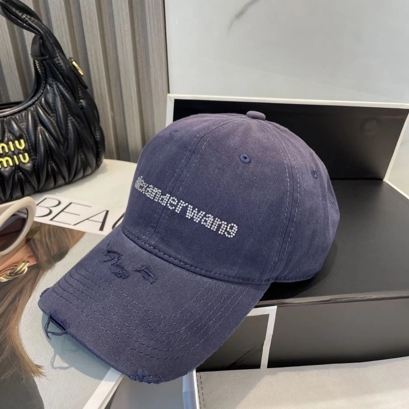 1:1 copy Alexander Wang Caps