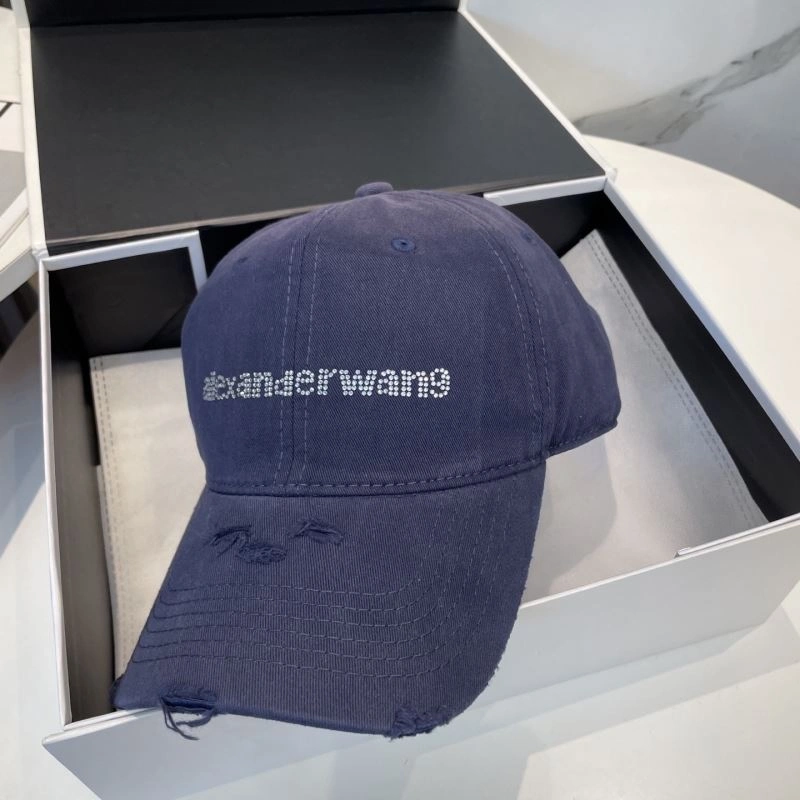 1:1 copy Alexander Wang Caps
