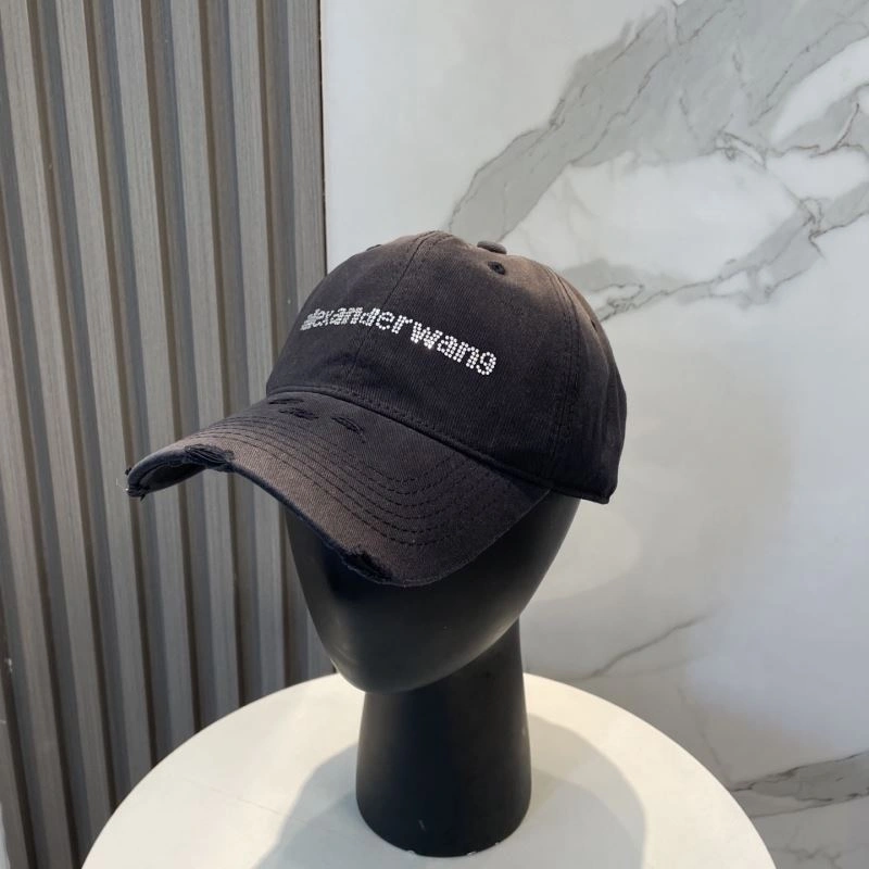Alexander Wang Caps