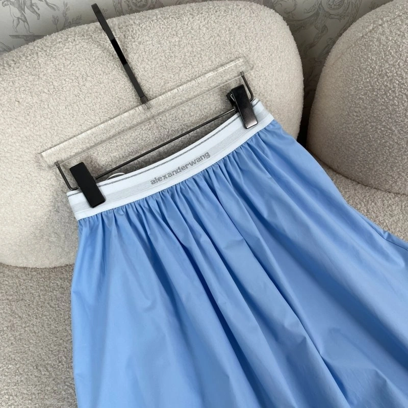 Accurate model Alexander Wang Dress