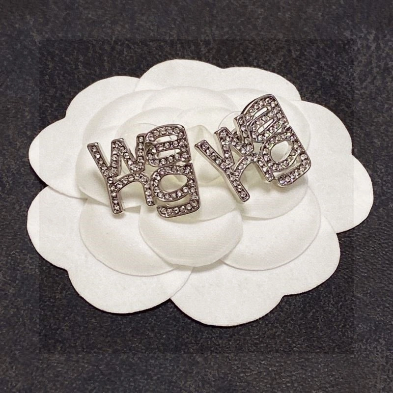 Brand-original Alexander Wang Earrings