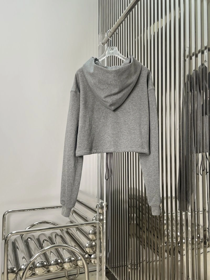High accuracy Alexander Wang Hoodies