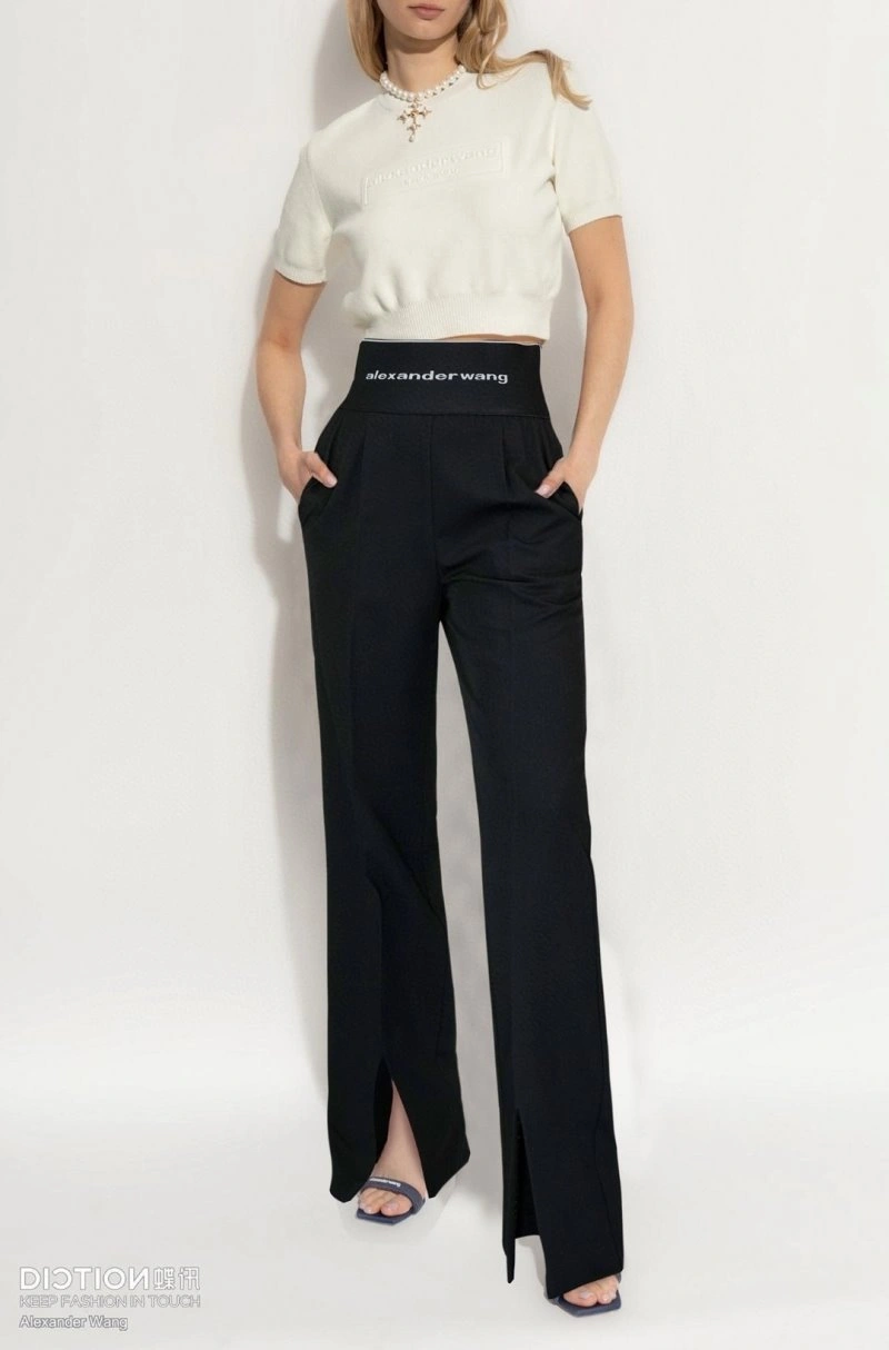 Alexander Wang Long Pants