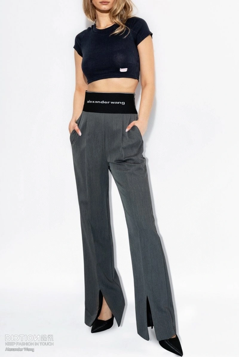 High accuracy Alexander Wang Long Pants