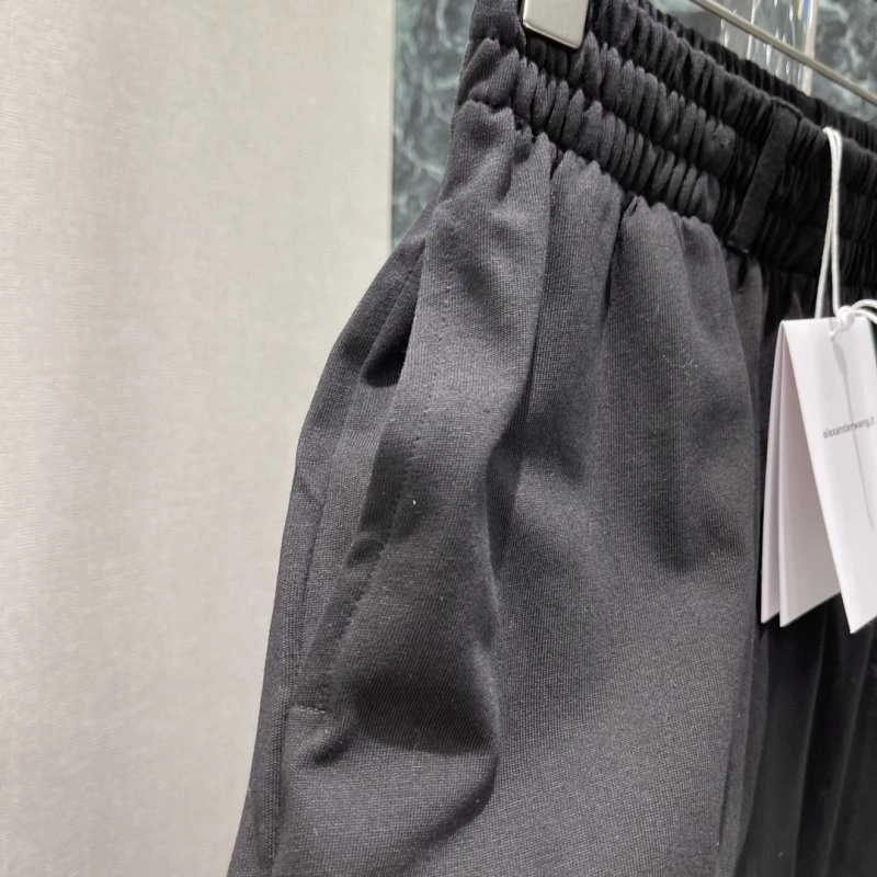 Reasonably priced Alexander Wang Long Pants