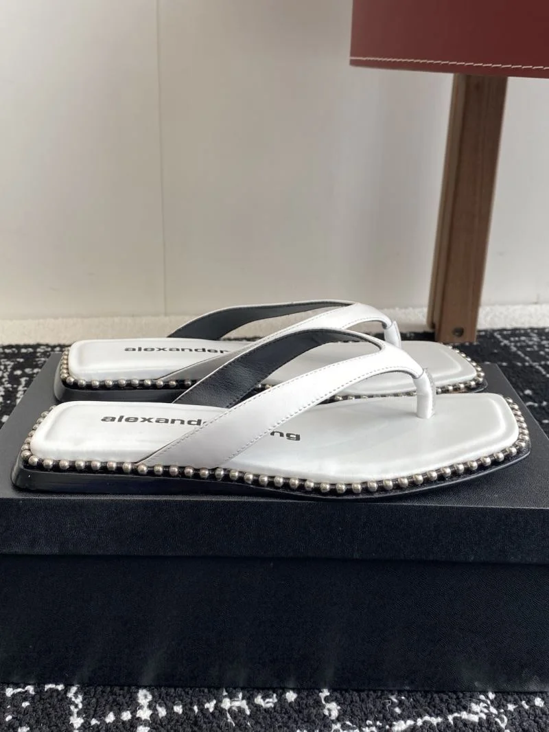 Budget-friendly Alexander Wang Sandals