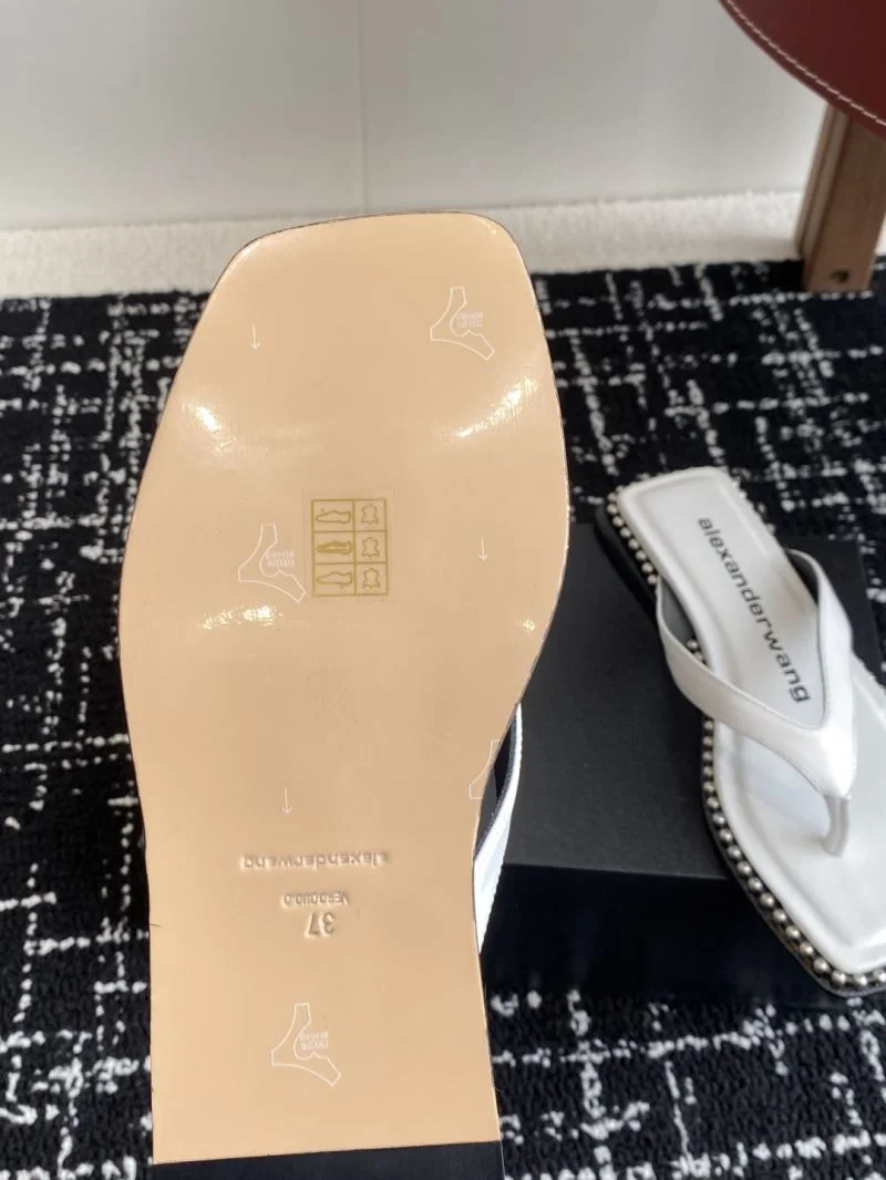 Budget-friendly Alexander Wang Sandals