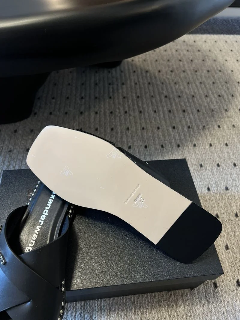 High fidelity Alexander Wang Sandals