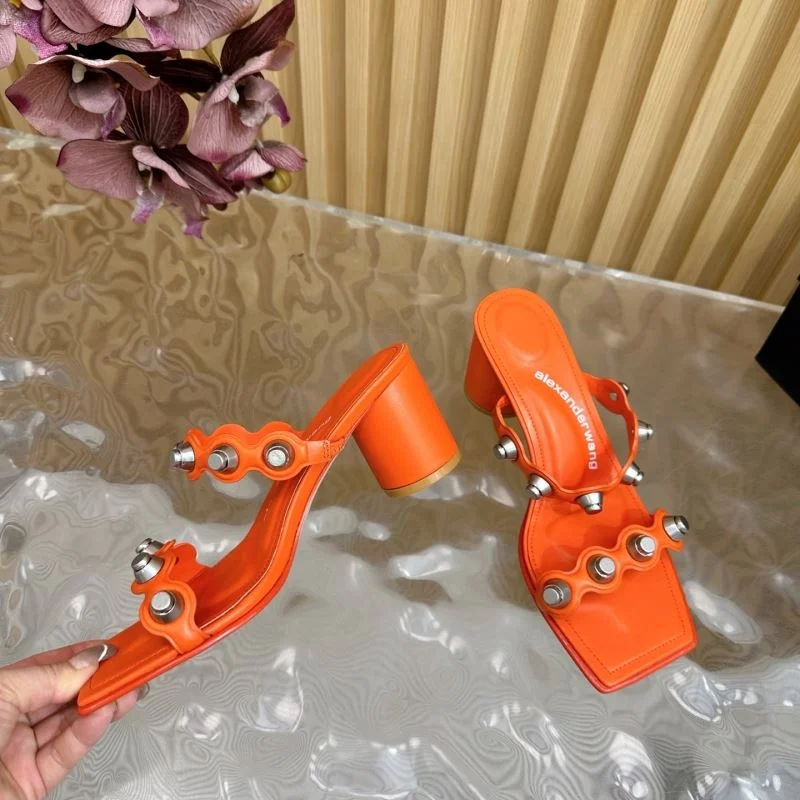 Value-priced Alexander Wang Sandals