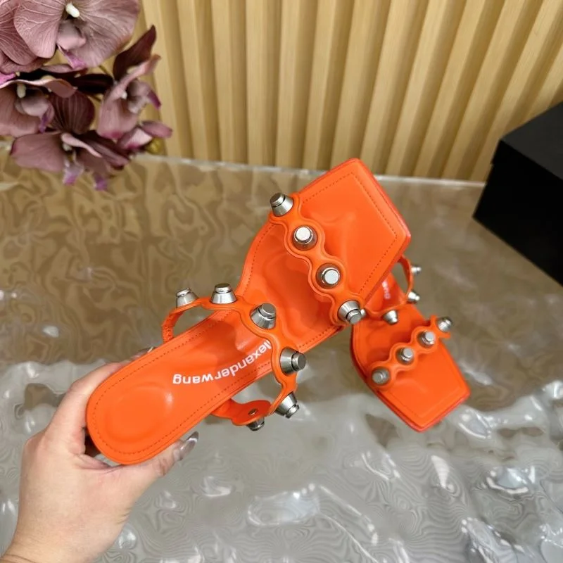 Value-priced Alexander Wang Sandals