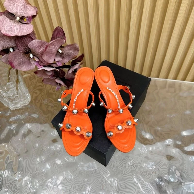 Budget-friendly Alexander Wang Sandals