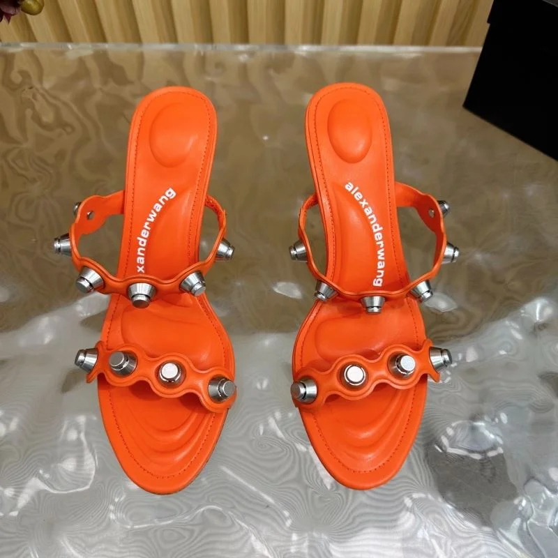 Budget-friendly Alexander Wang Sandals
