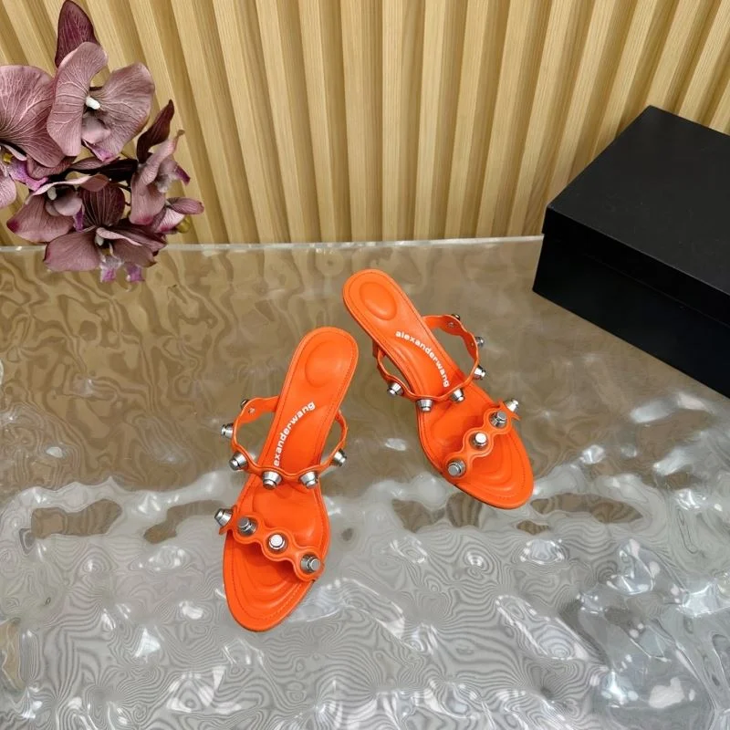 Budget-friendly Alexander Wang Sandals