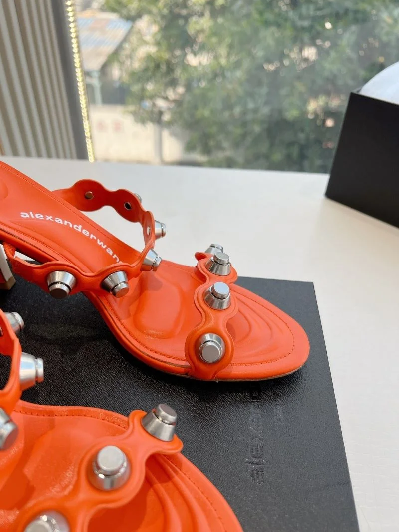 Genuine Alexander Wang Sandals