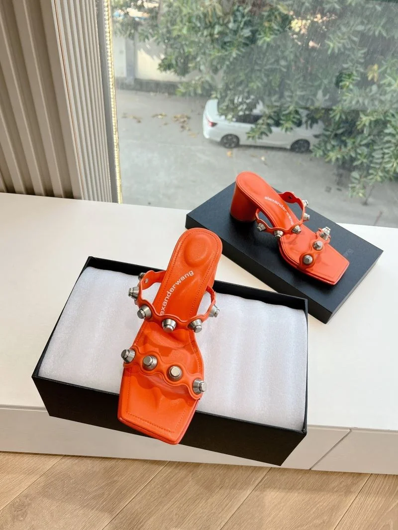 High accuracy Alexander Wang Sandals
