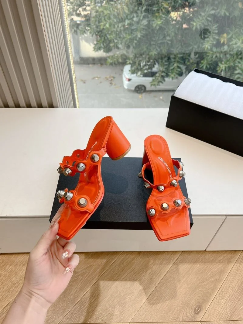 High accuracy Alexander Wang Sandals