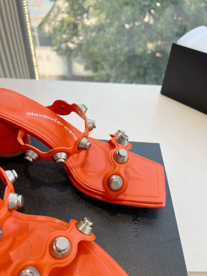 High accuracy Alexander Wang Sandals