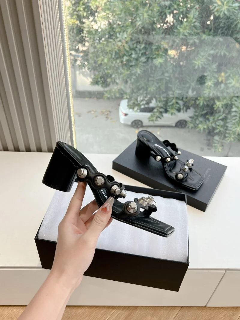 High accuracy Alexander Wang Sandals