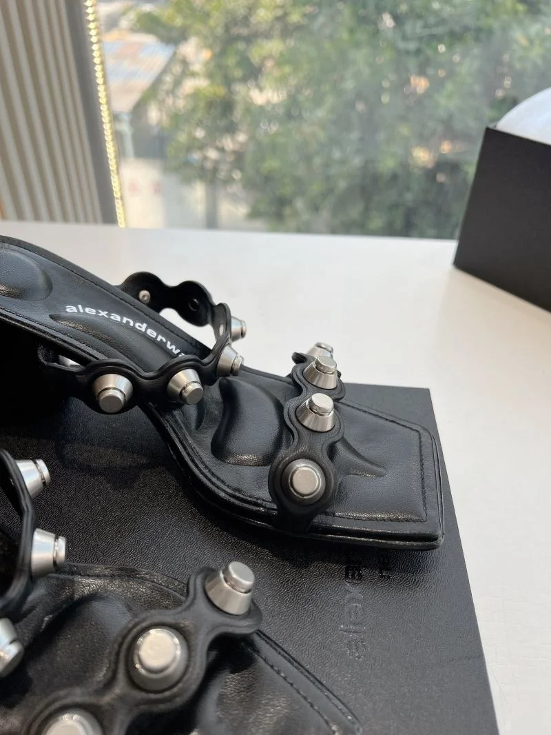High accuracy Alexander Wang Sandals