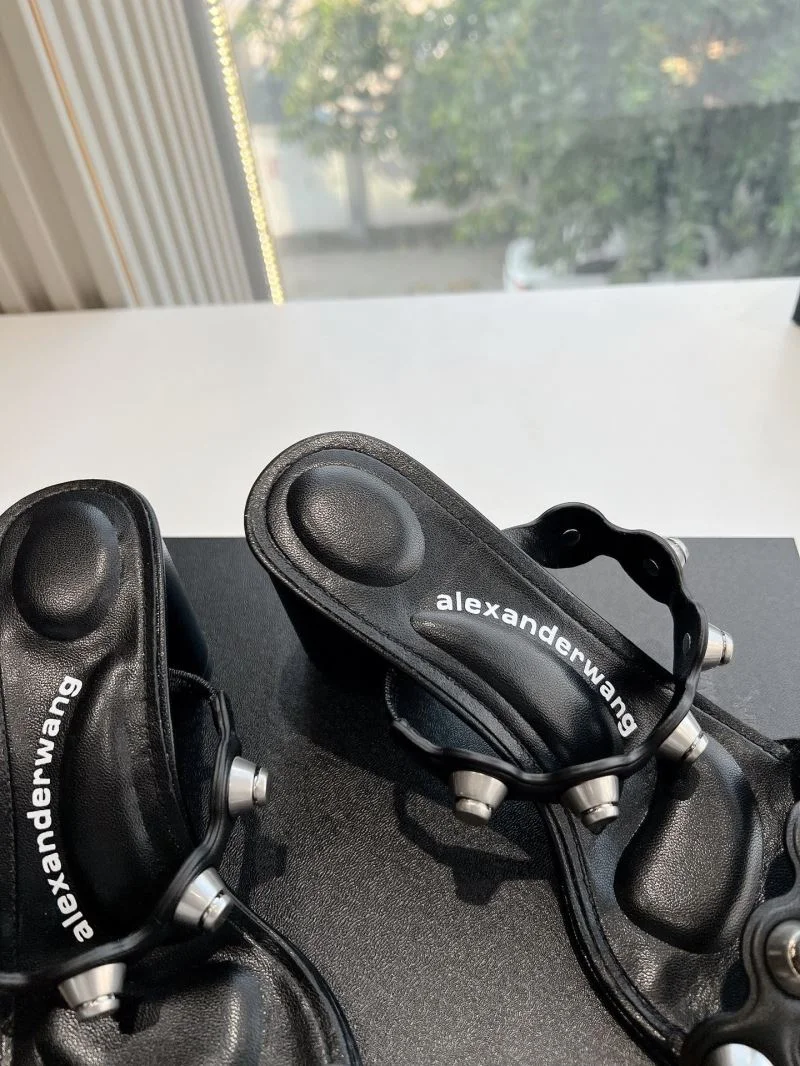 High accuracy Alexander Wang Sandals