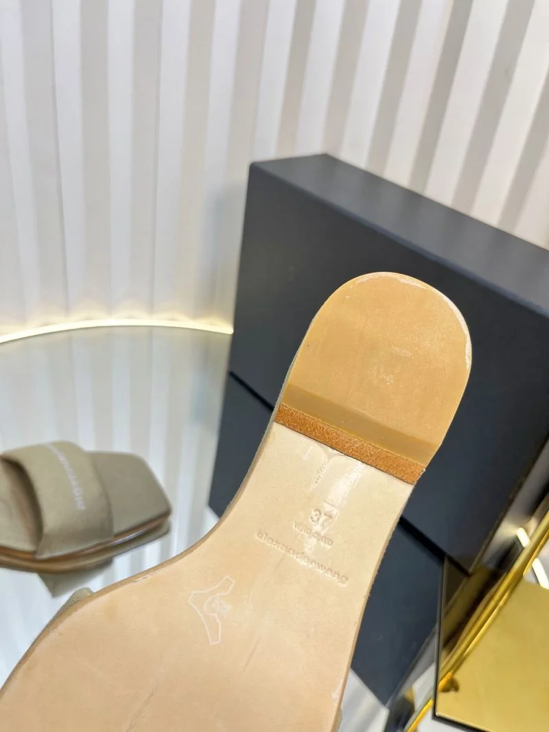 Legit Alexander Wang Sandals