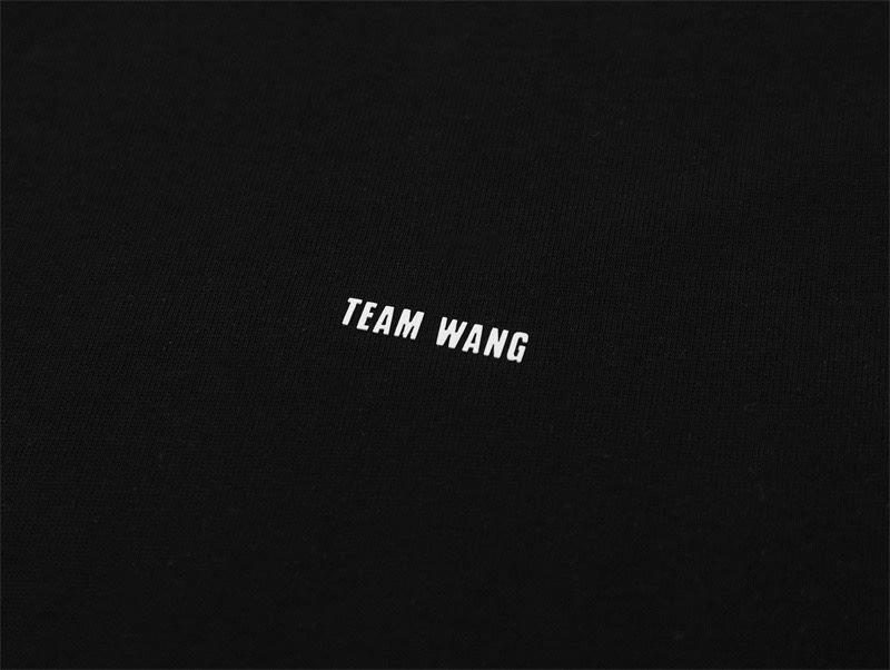 Inexpensive Alexander Wang T-Shirts
