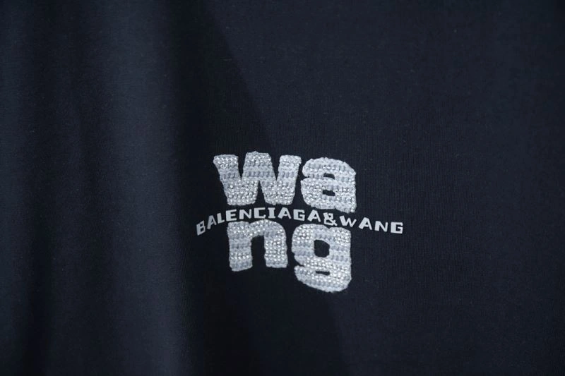 Economical Alexander Wang T-Shirts