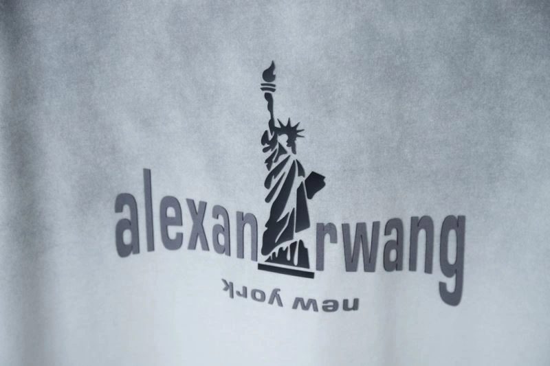 Accurate model Alexander Wang T-Shirts