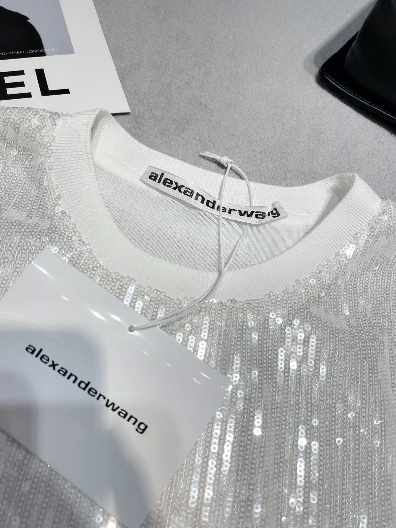 High fidelity Alexander Wang T-Shirts