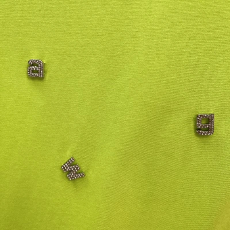 Accurate model Alexander Wang T-Shirts
