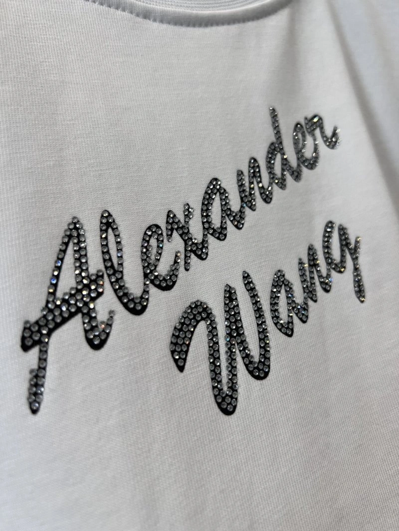 Indistinguishable Alexander Wang T-Shirts