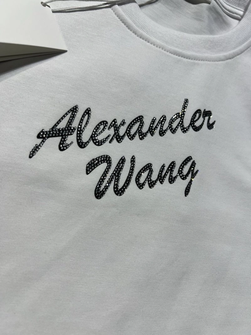 Budget-friendly Alexander Wang T-Shirts
