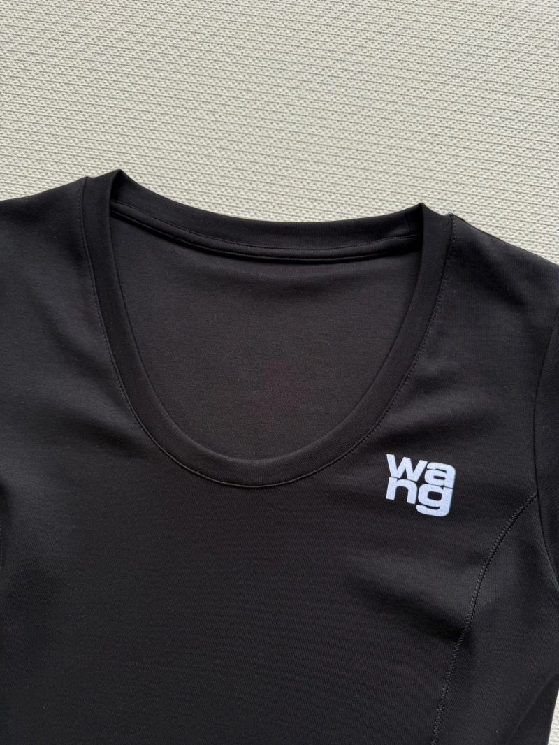 Cut-rate Alexander Wang T-Shirts