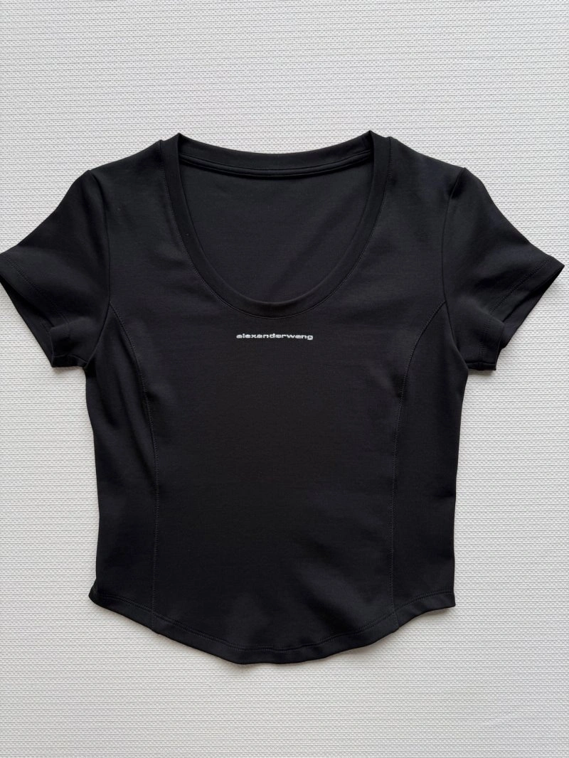 Indistinguishable Alexander Wang T-Shirts