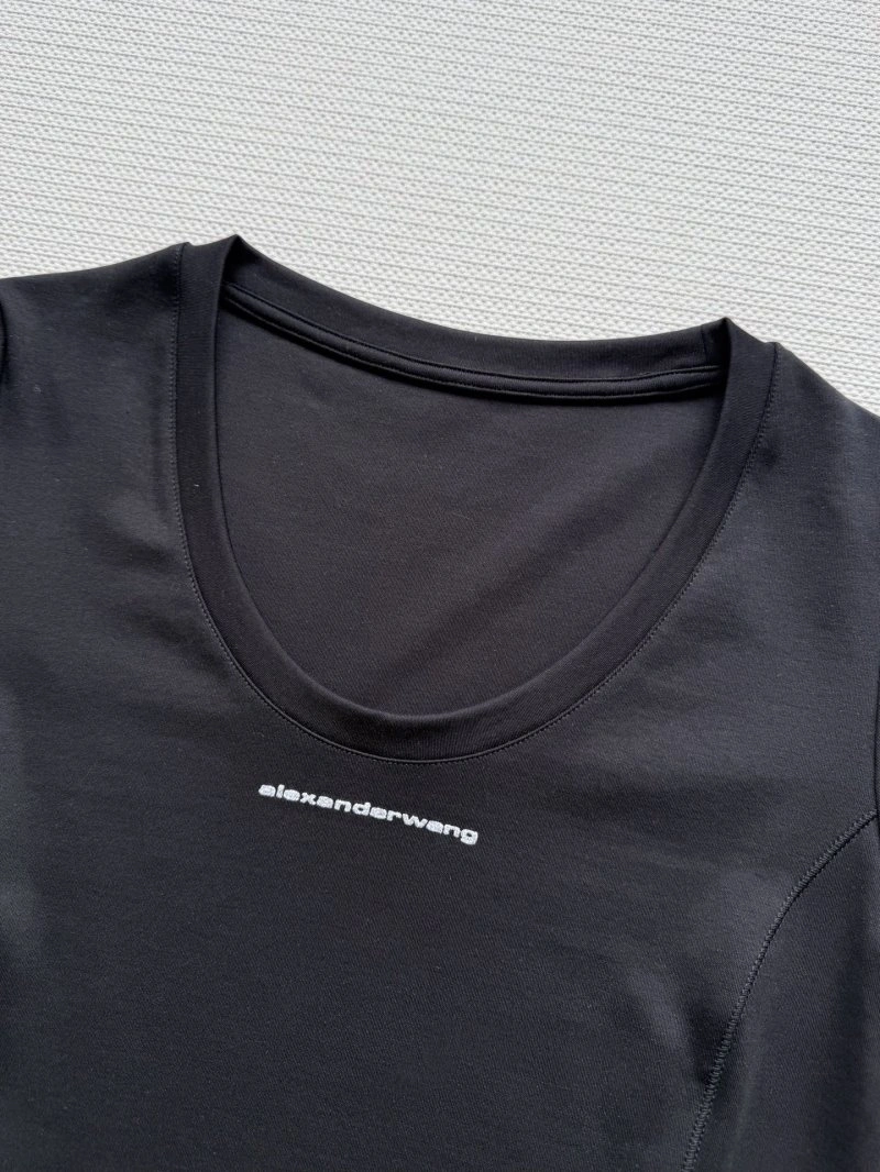 Indistinguishable Alexander Wang T-Shirts