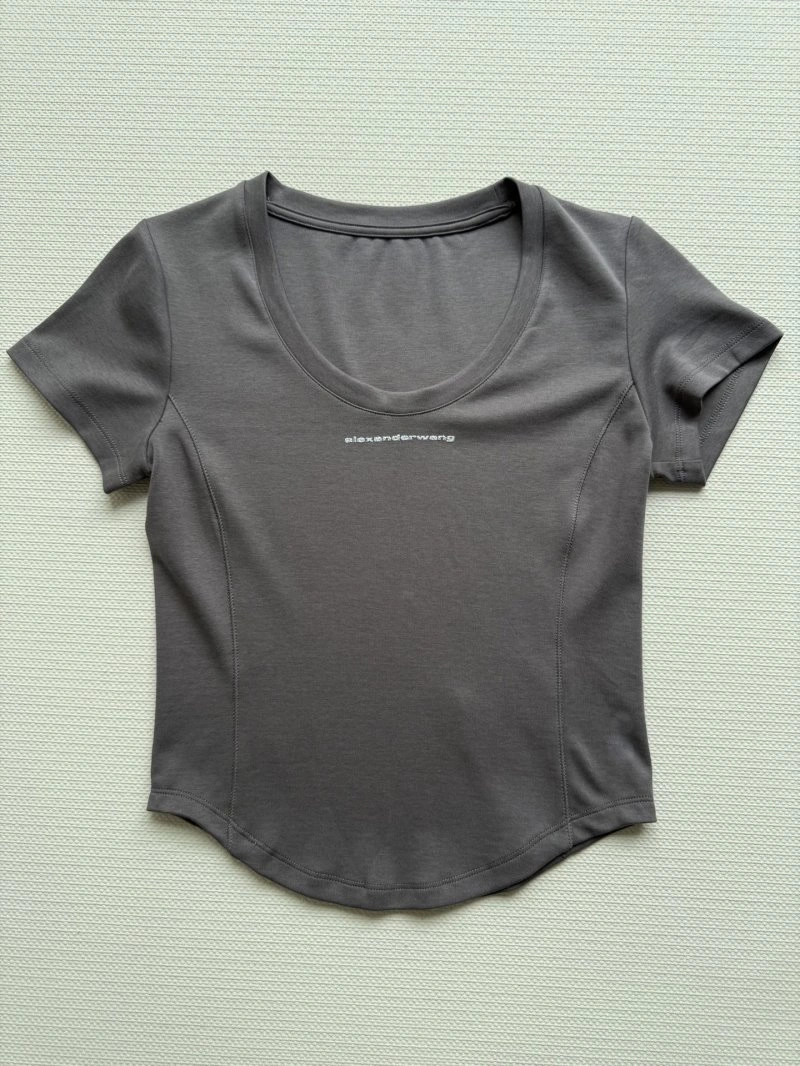 Indistinguishable Alexander Wang T-Shirts