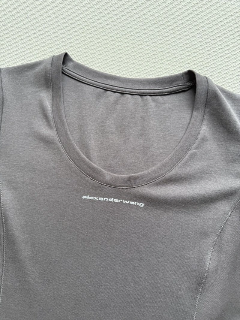 Indistinguishable Alexander Wang T-Shirts