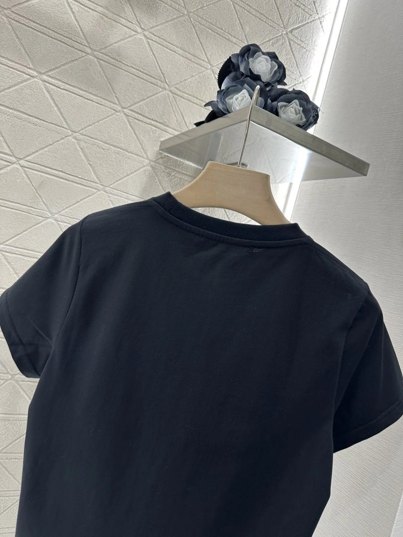 Mirror quality Alexander Wang T-Shirts