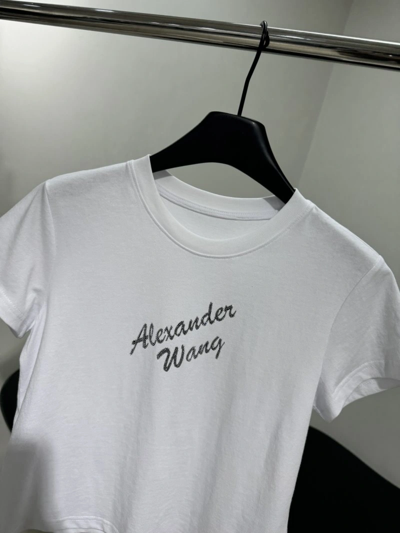 Budget-friendly Alexander Wang T-Shirts