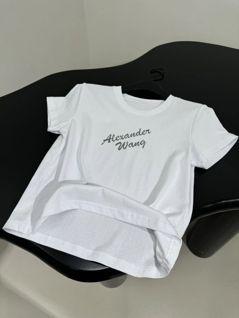 Budget-friendly Alexander Wang T-Shirts
